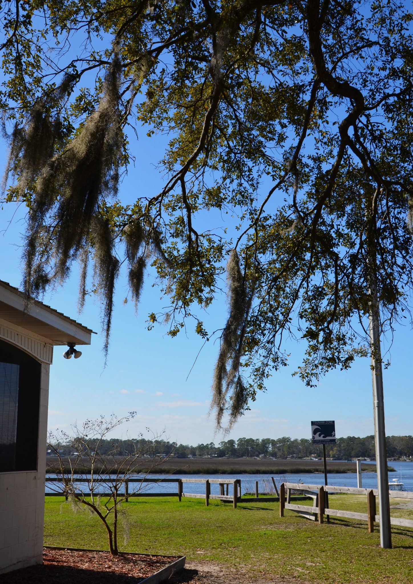 Let’s Take a Walk in a Liberty County Park - Liberty County
