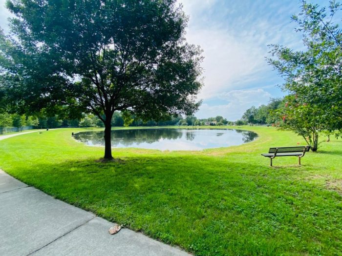 Let’s Take a Walk in a Liberty County Park - Liberty County