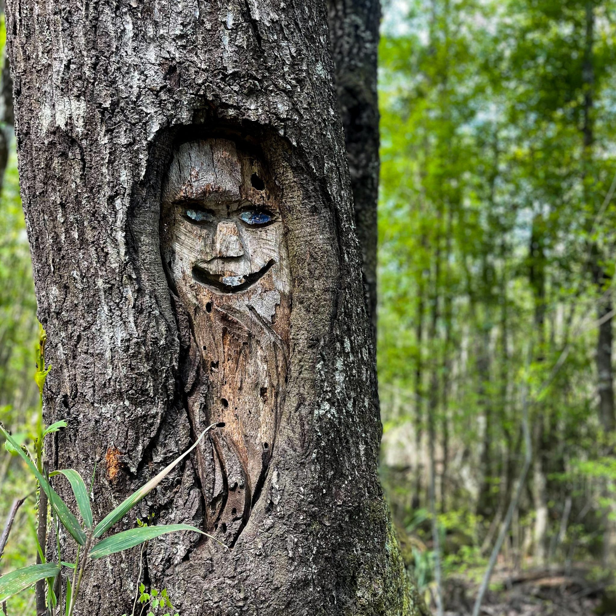 Liberty County Tree Spirit Guide - Liberty County